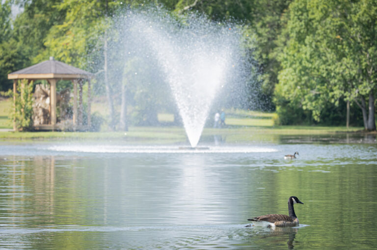 Things to Do - Visit Dublin Georgia